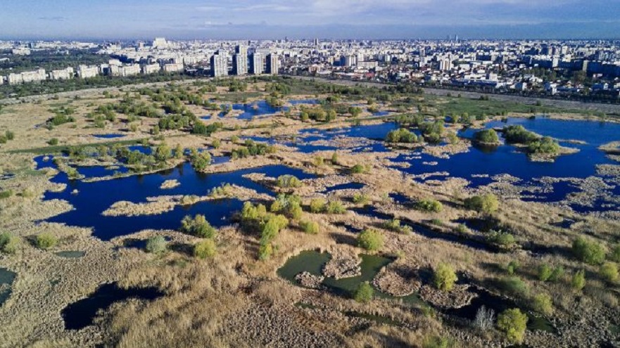 Parcul Natural Văcărești – paradisul din mijlocul Bucureștiului, cel ...